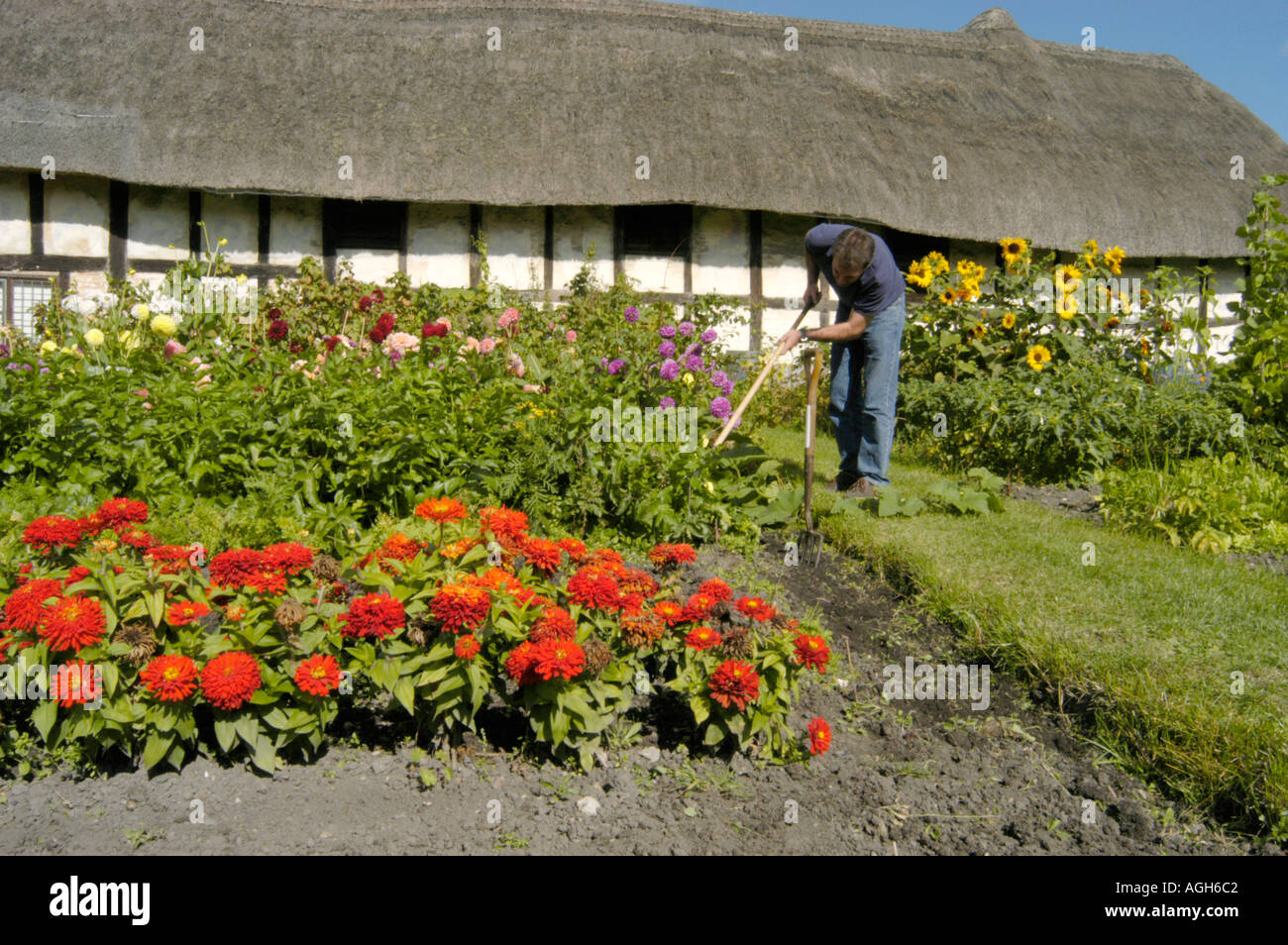 Michael Goodenough tends his English country garden Stock Photo - Alamy