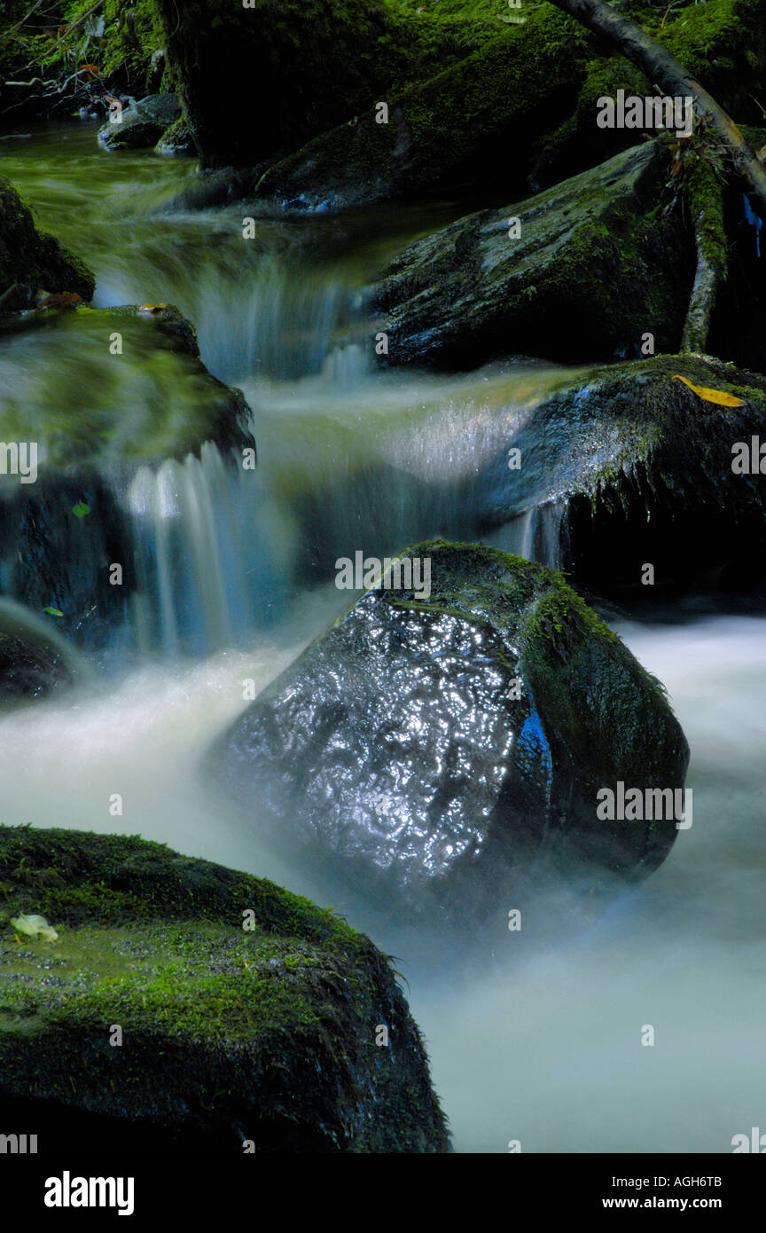 Torc Waterfall, Killarney National Park, Ireland Stock Photo - Alamy