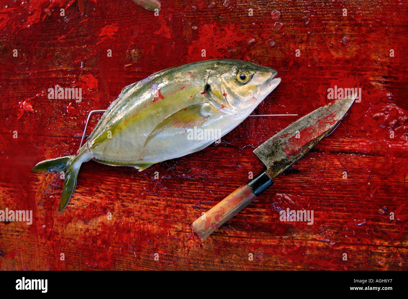 Fish slaughter board hi-res stock photography and images - Alamy