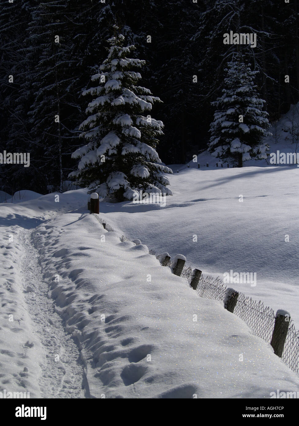 Pretty winter scene Stock Photo - Alamy