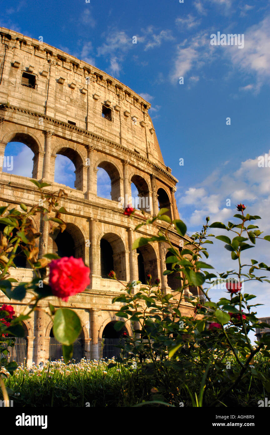 Roman colosseum flowers hi-res stock photography and images - Alamy