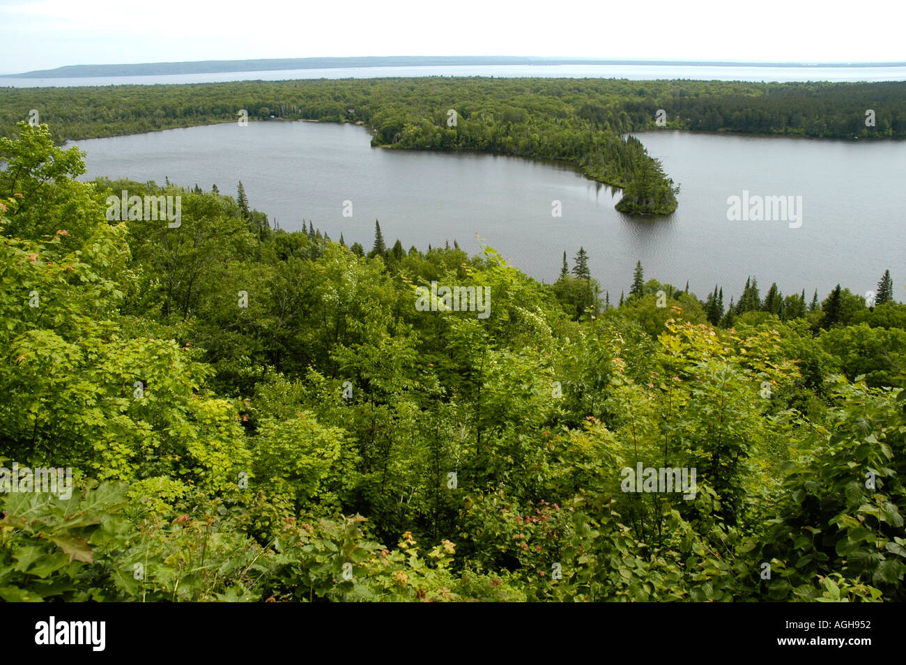 Michigan national forest fun hi-res stock photography and images - Alamy