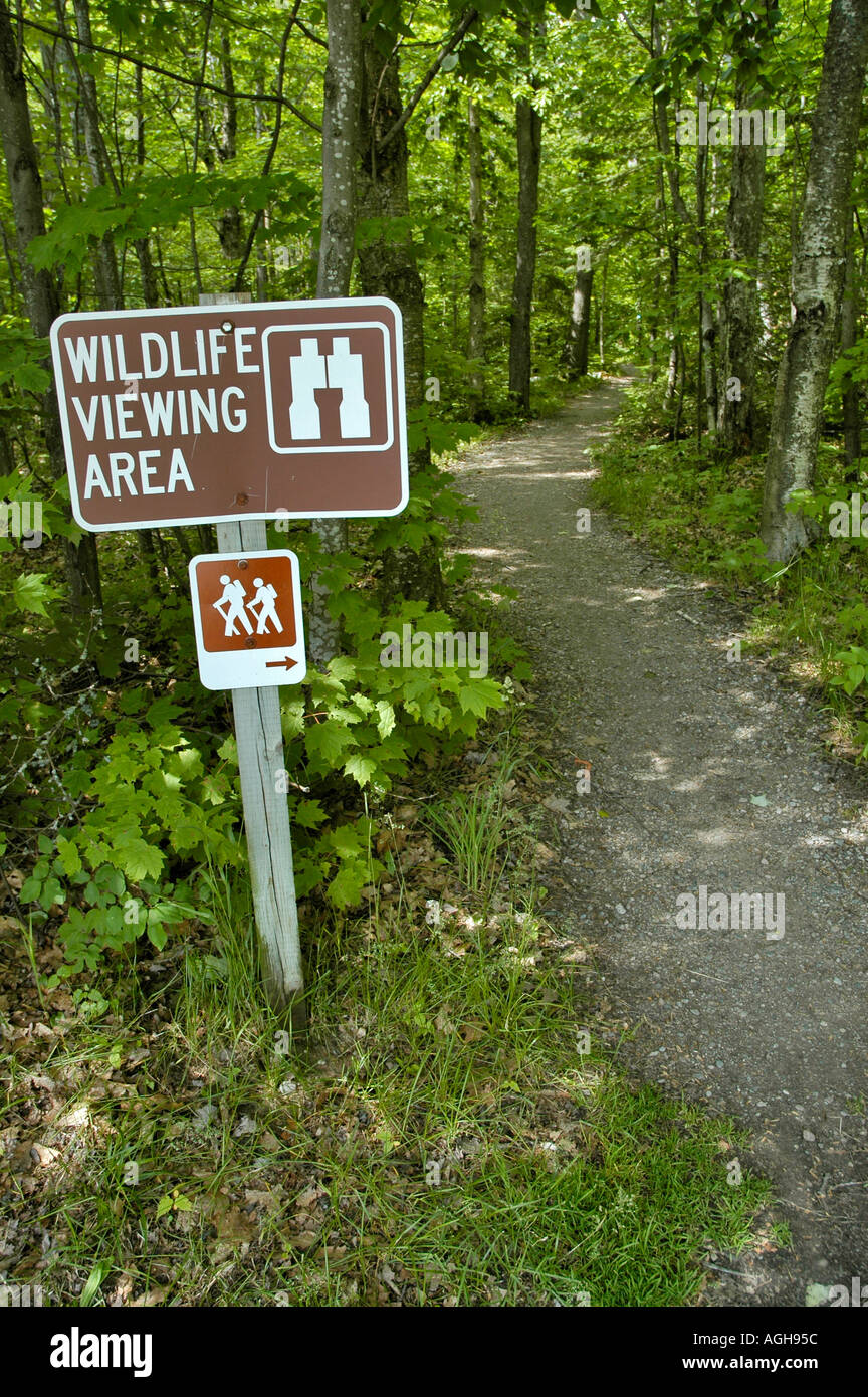 Nature trail t at Monocle Lake Campground in Hiawatha National Forest ...