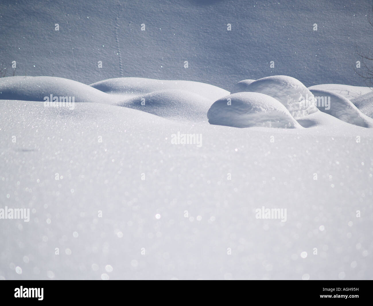 Fresh Snow Shapes Stock Photo - Alamy