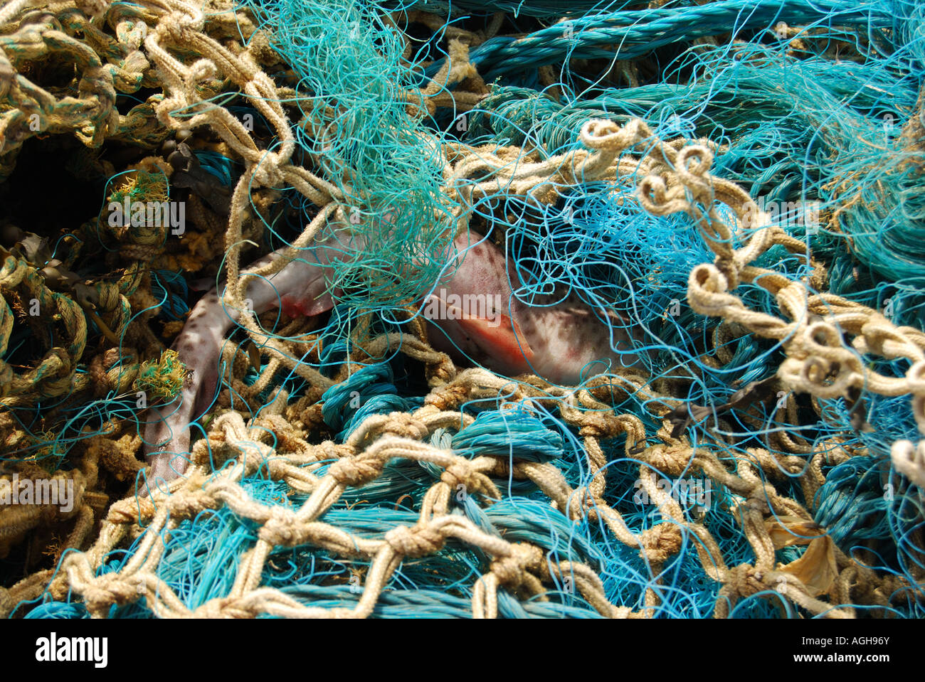 Disintegration Of Rocks High Resolution Stock Photography and Images ...