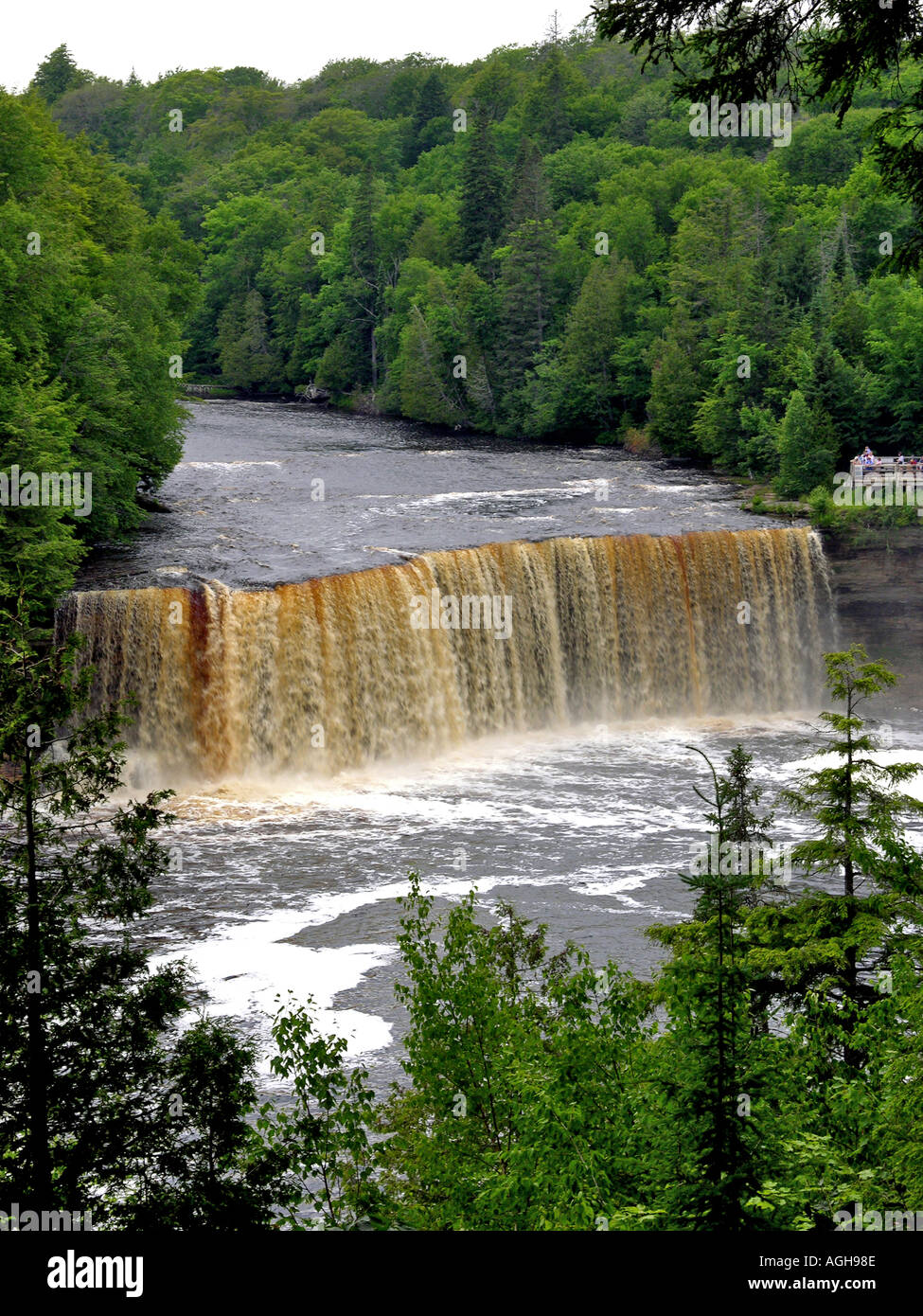 Tahquamenon Falls State Park in Michigan s Upper Peninsula Stock Photo ... Tahquamenon Falls State Park in Michigan s Upper Peninsula Stock Photo ...