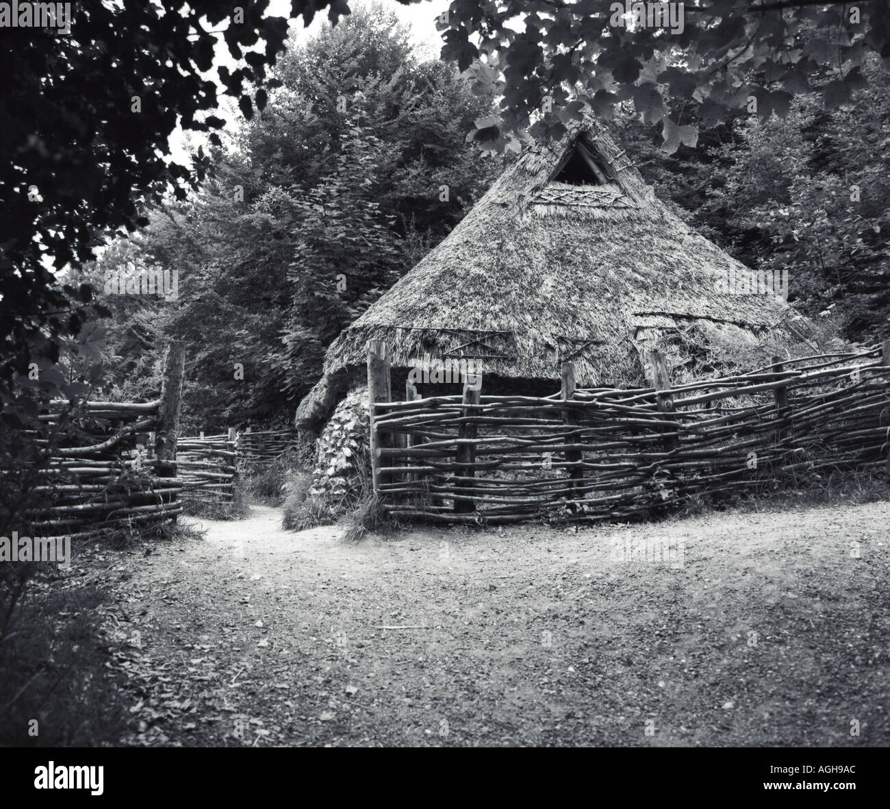 Medieval Thatched Roof Cottage