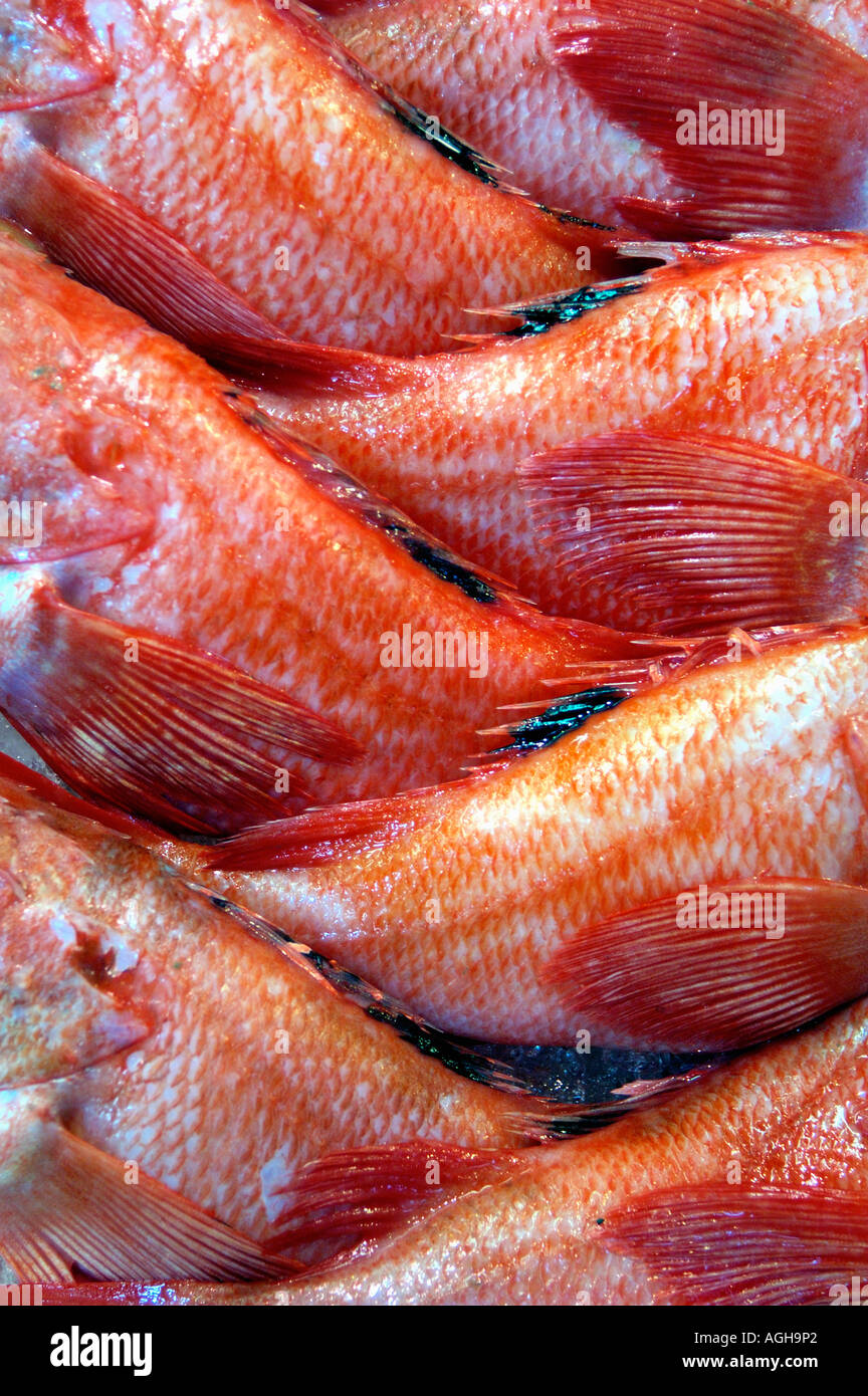 fresh fish, Fish Market, Tokyo, Japan Stock Photo - Alamy