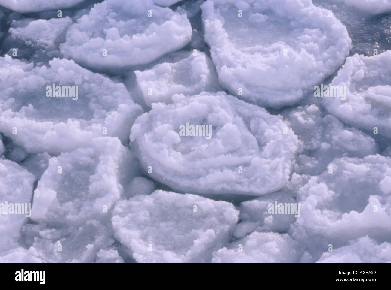 Floating ice pieces in the lake Stock Photo - Alamy