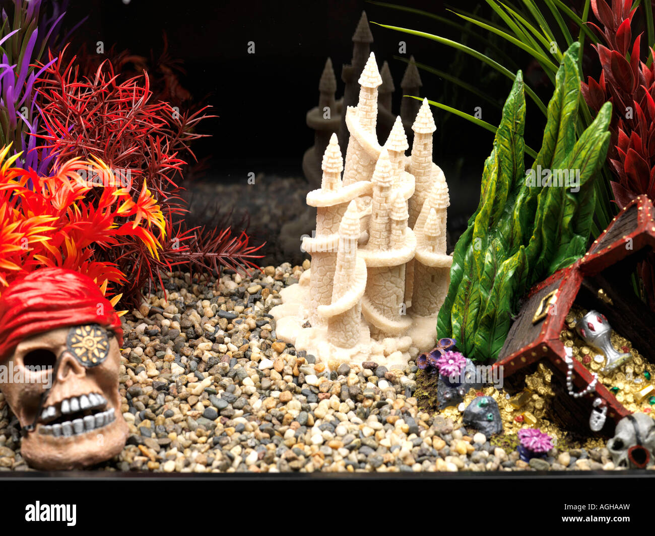 Fish tank castle hi-res stock photography and images - Alamy