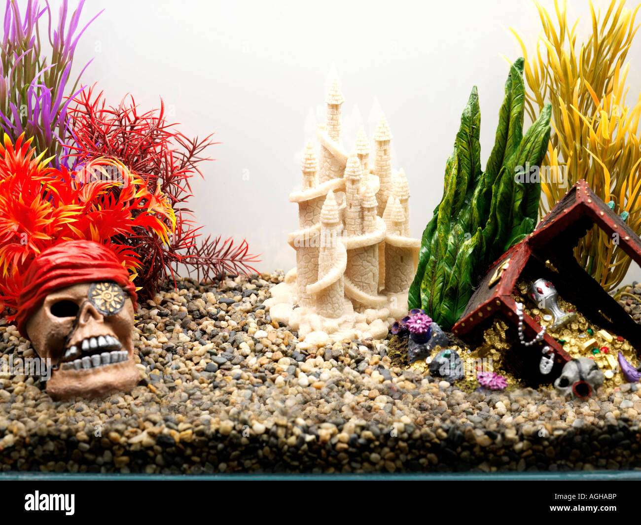 Fish tank castle hi-res stock photography and images - Alamy
