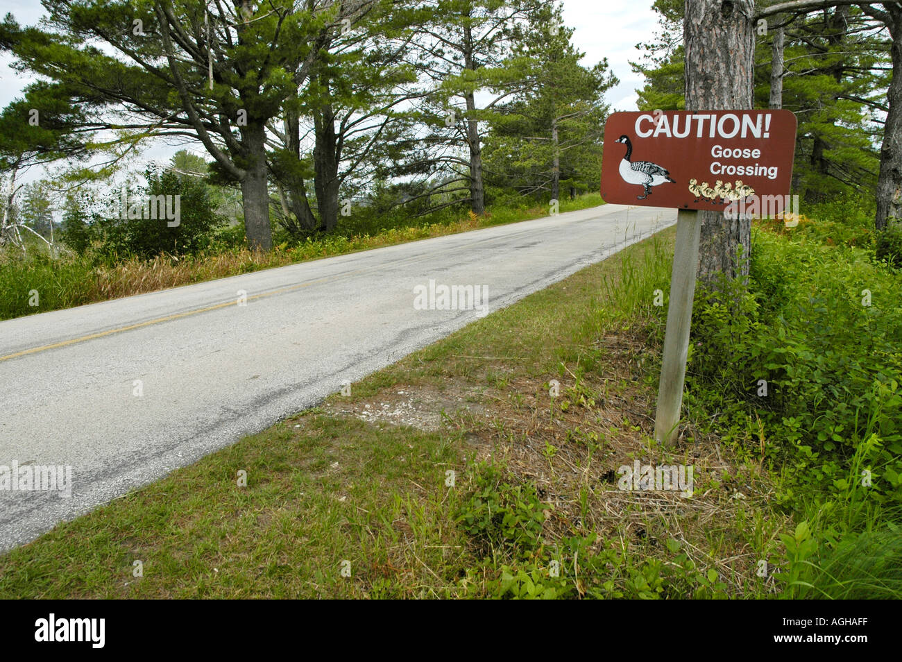 Seney National Wildlife Refuge System in Upper Peninsula Michigan Stock ...