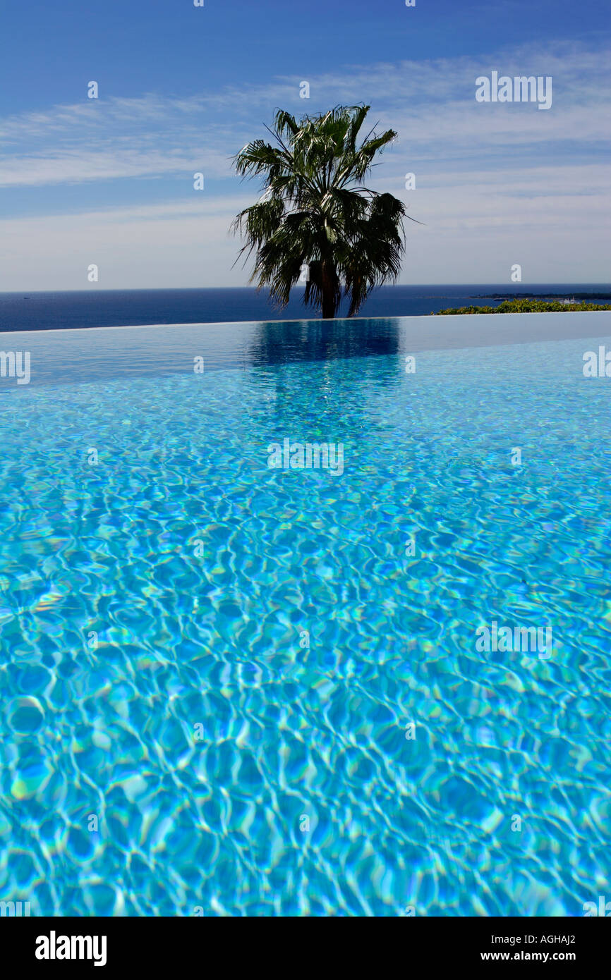 Swimming pool and palm tree Stock Photo - Alamy