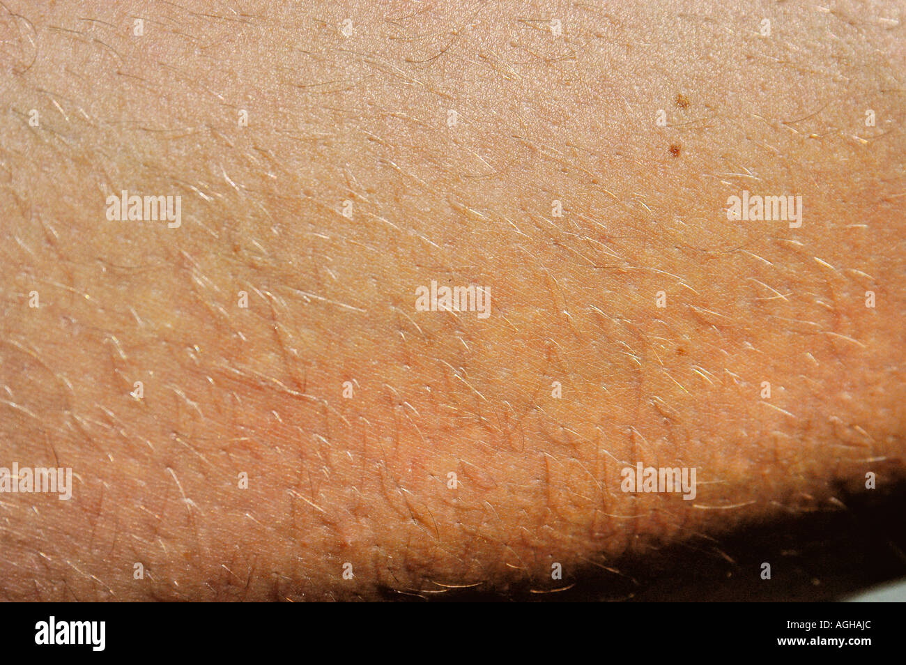 Arm caress hi-res stock photography and images - Alamy