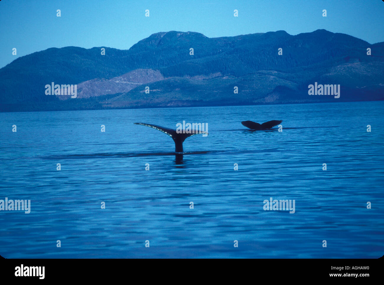 Alaska Kupreanof Island Frederick Sound Tongass National Forest Kake ...