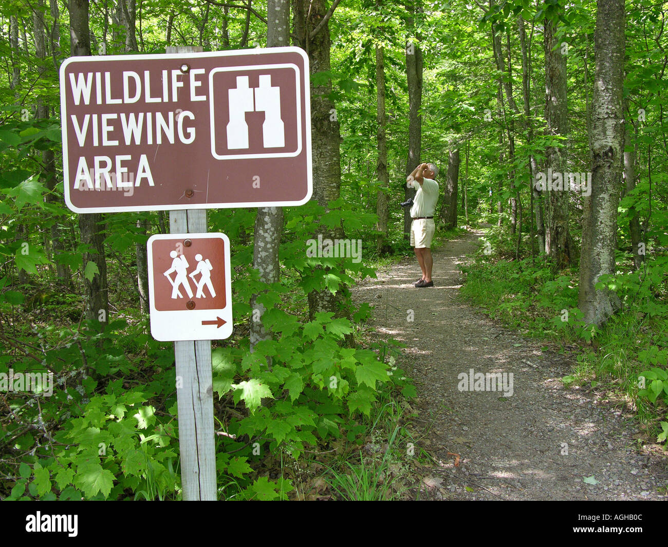 Seney National Wildlife Refuge System in Upper Peninsula Michigan Stock ...