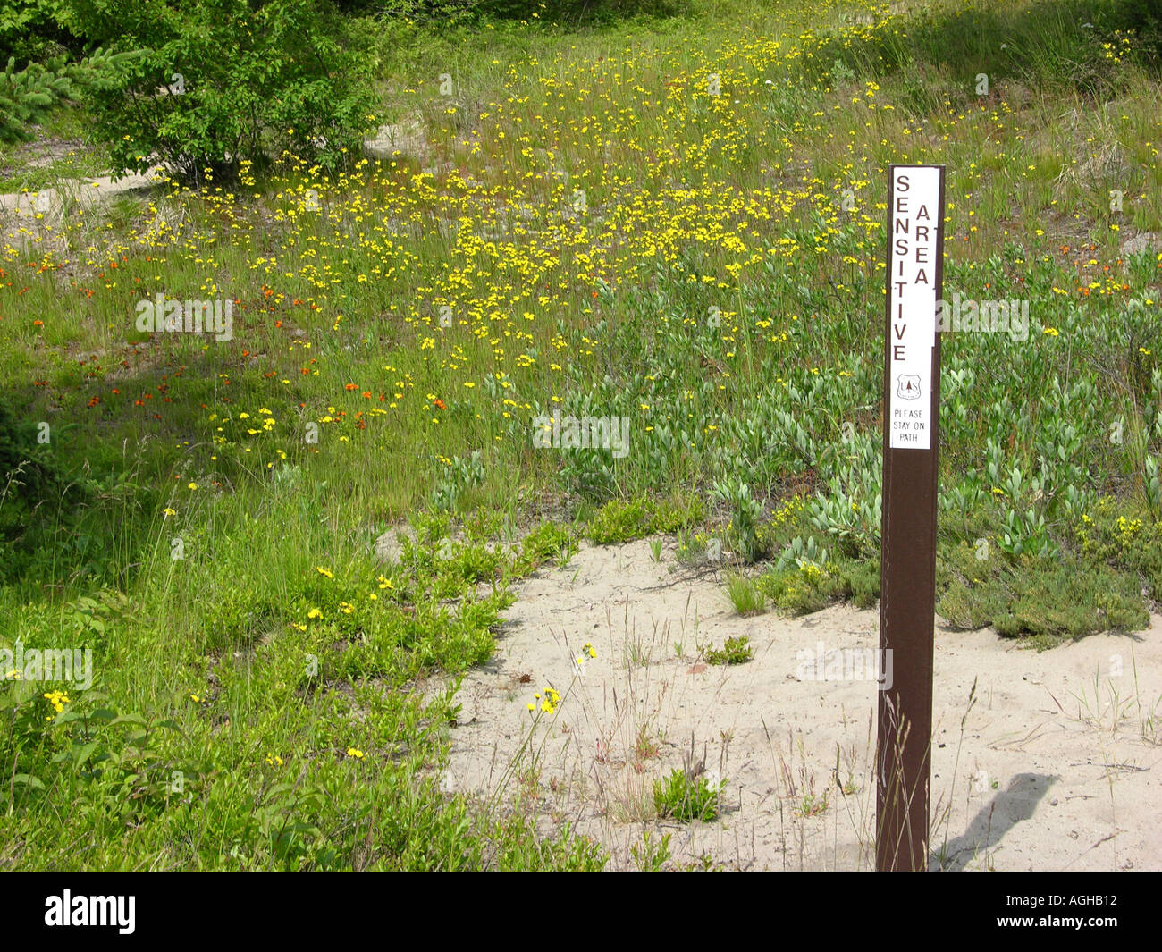 Seney National Wildlife Refuge System in Upper Peninsula Michigan Stock ...