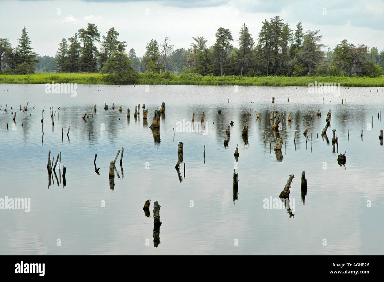 Seney National Wildlife Refuge System in Upper Peninsula Michigan Stock ...