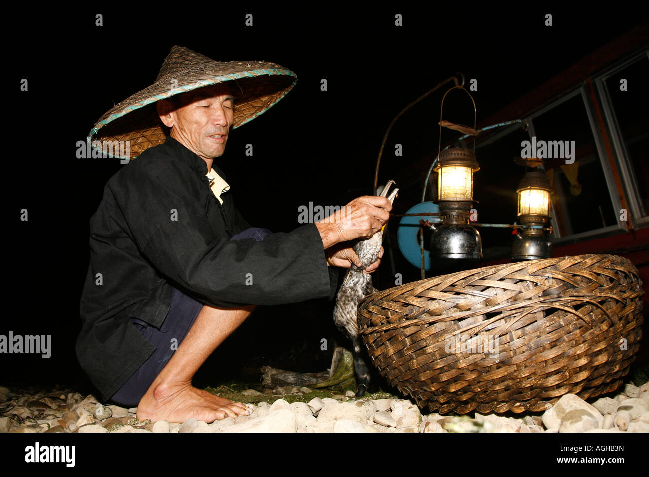 Fisherman bird hi-res stock photography and images - Alamy