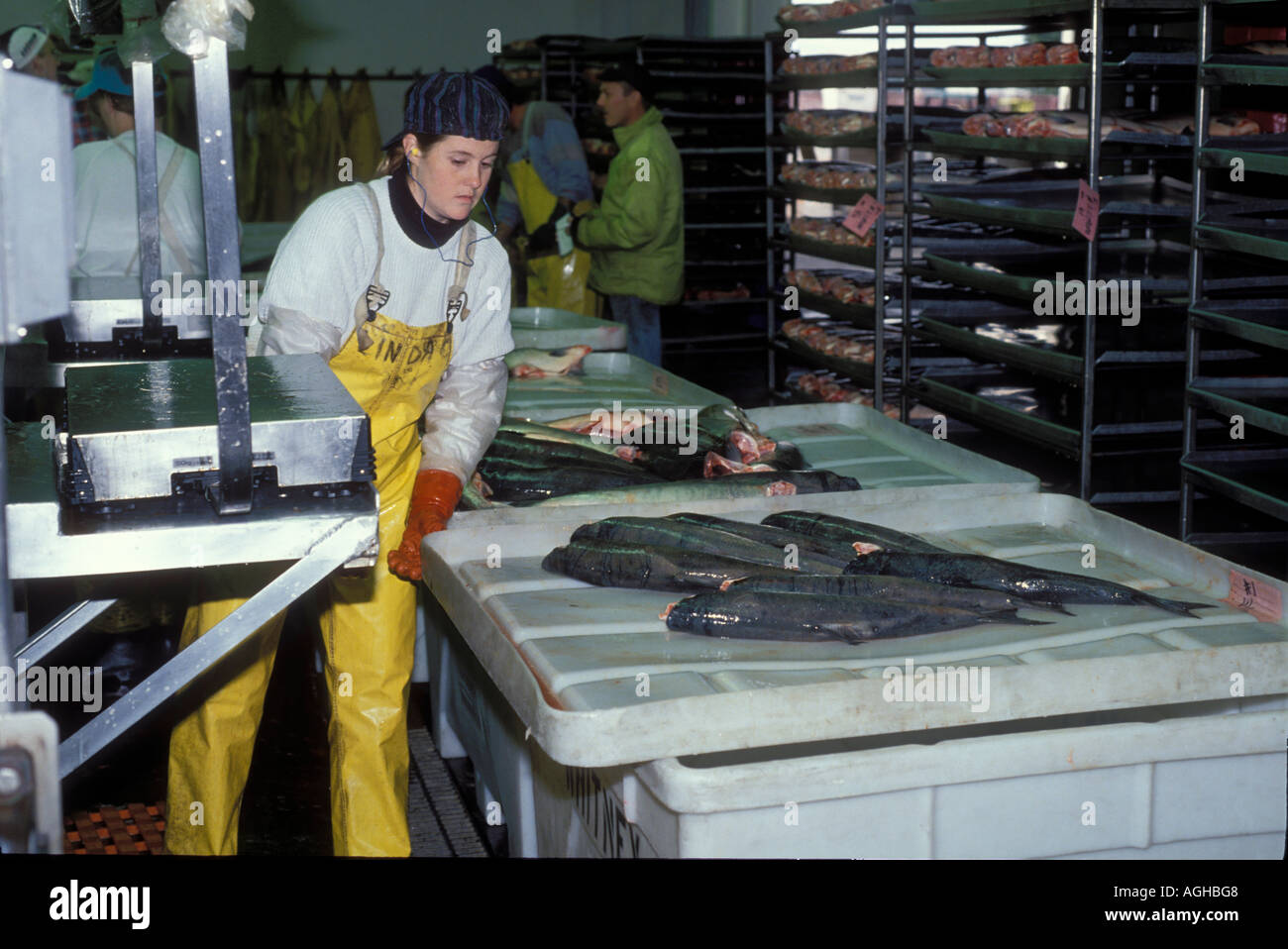 USA Alaska Anchorage salmon processing plant Stock Photo - Alamy