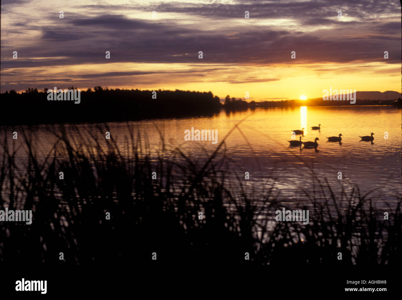 Lake spenard hi-res stock photography and images - Alamy