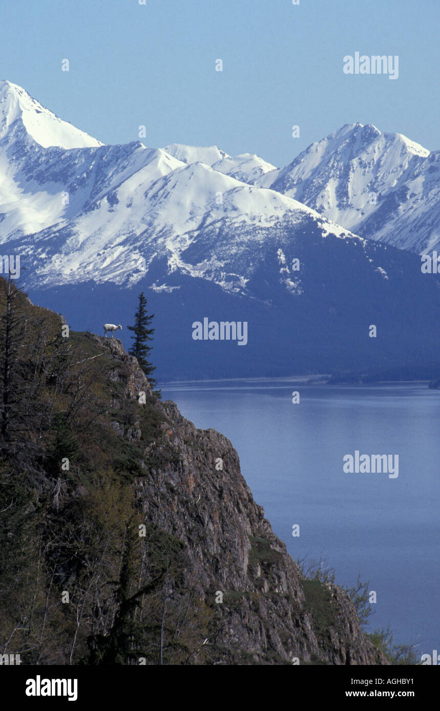 USA Alaska Turnagain Arm Seward Highway snow capped mountains and Dall ...