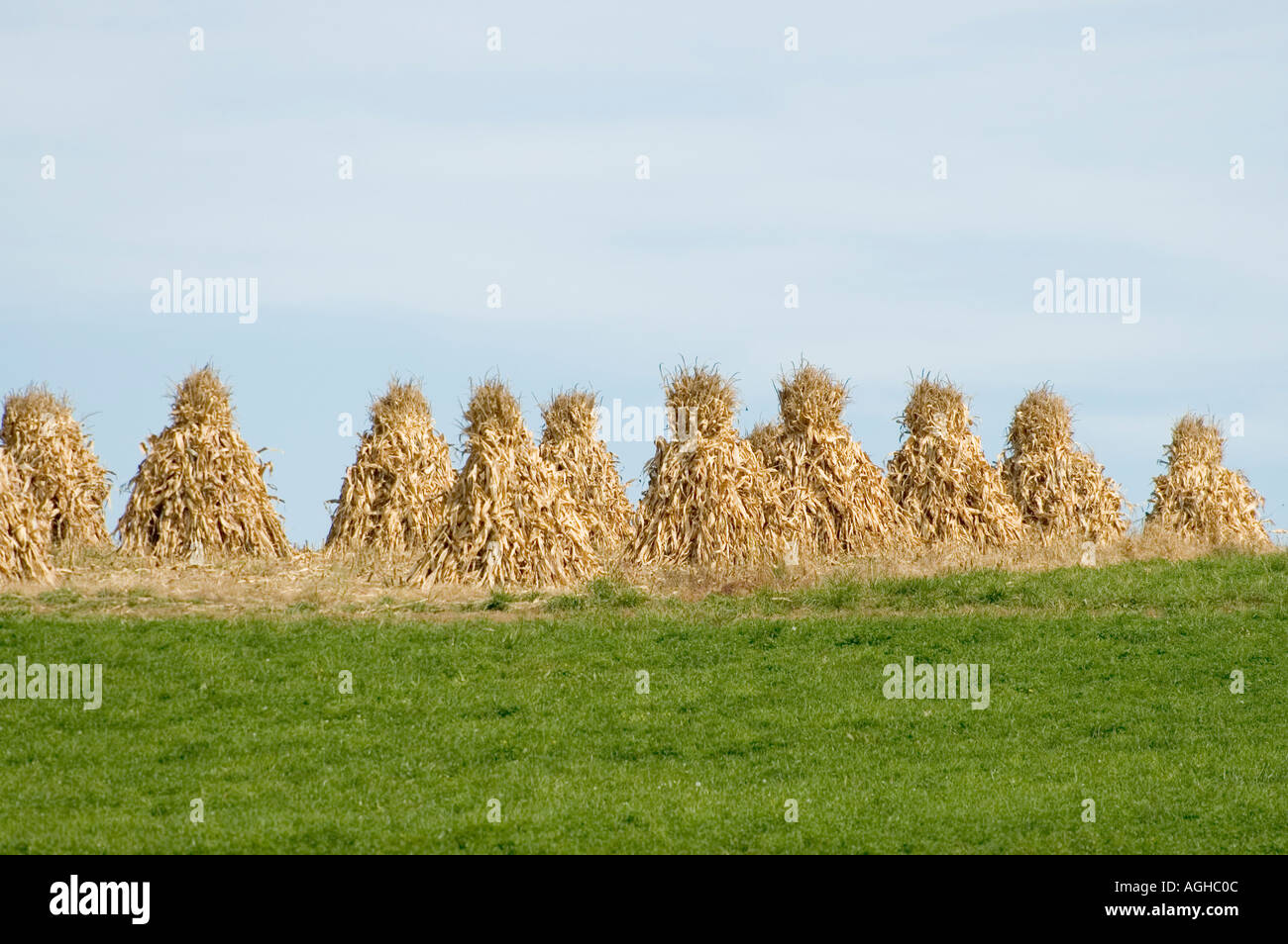 Ohio corn field at harvest time Stock Photo - Alamy