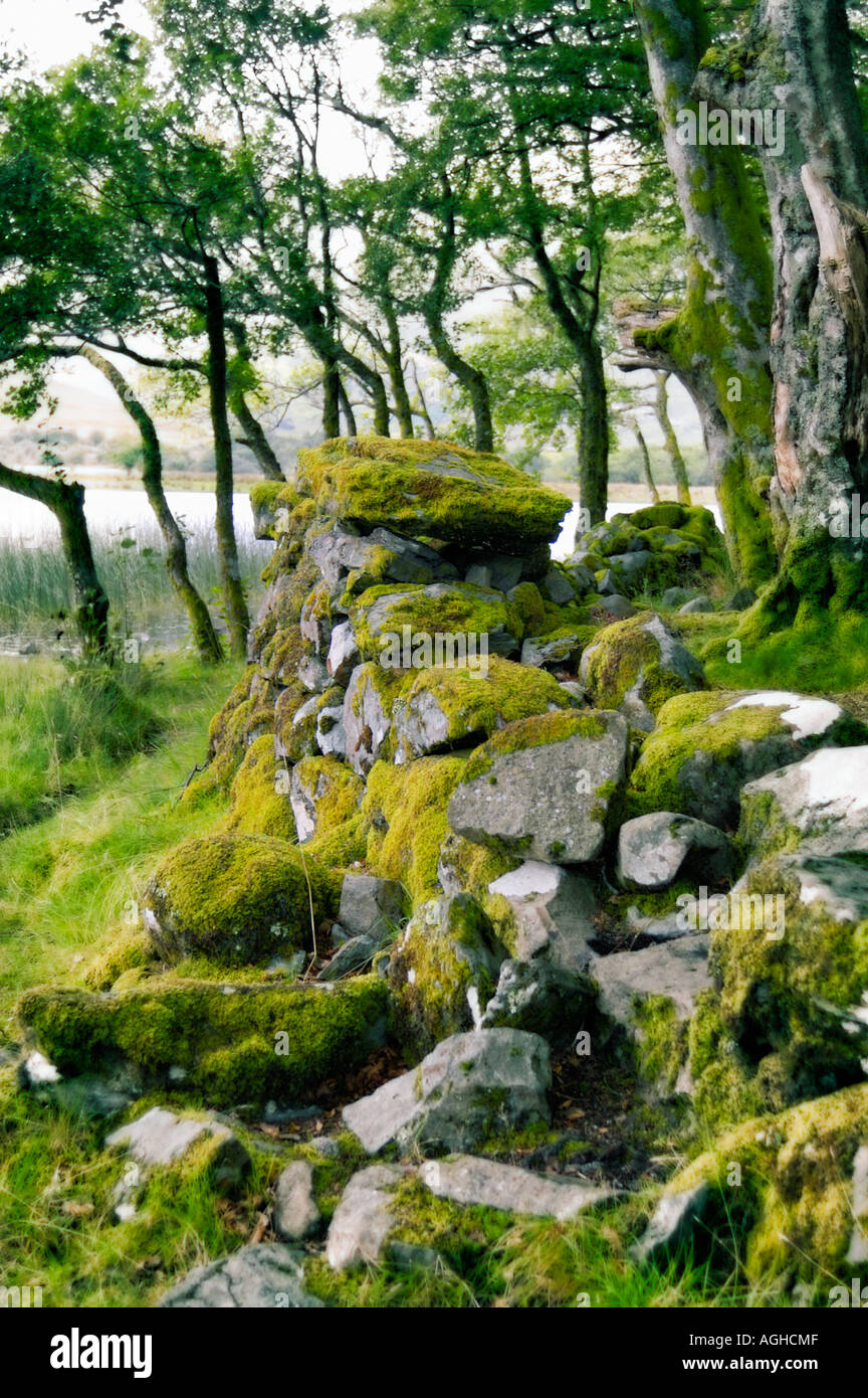 stone wall, Scotland Stock Photo - Alamy