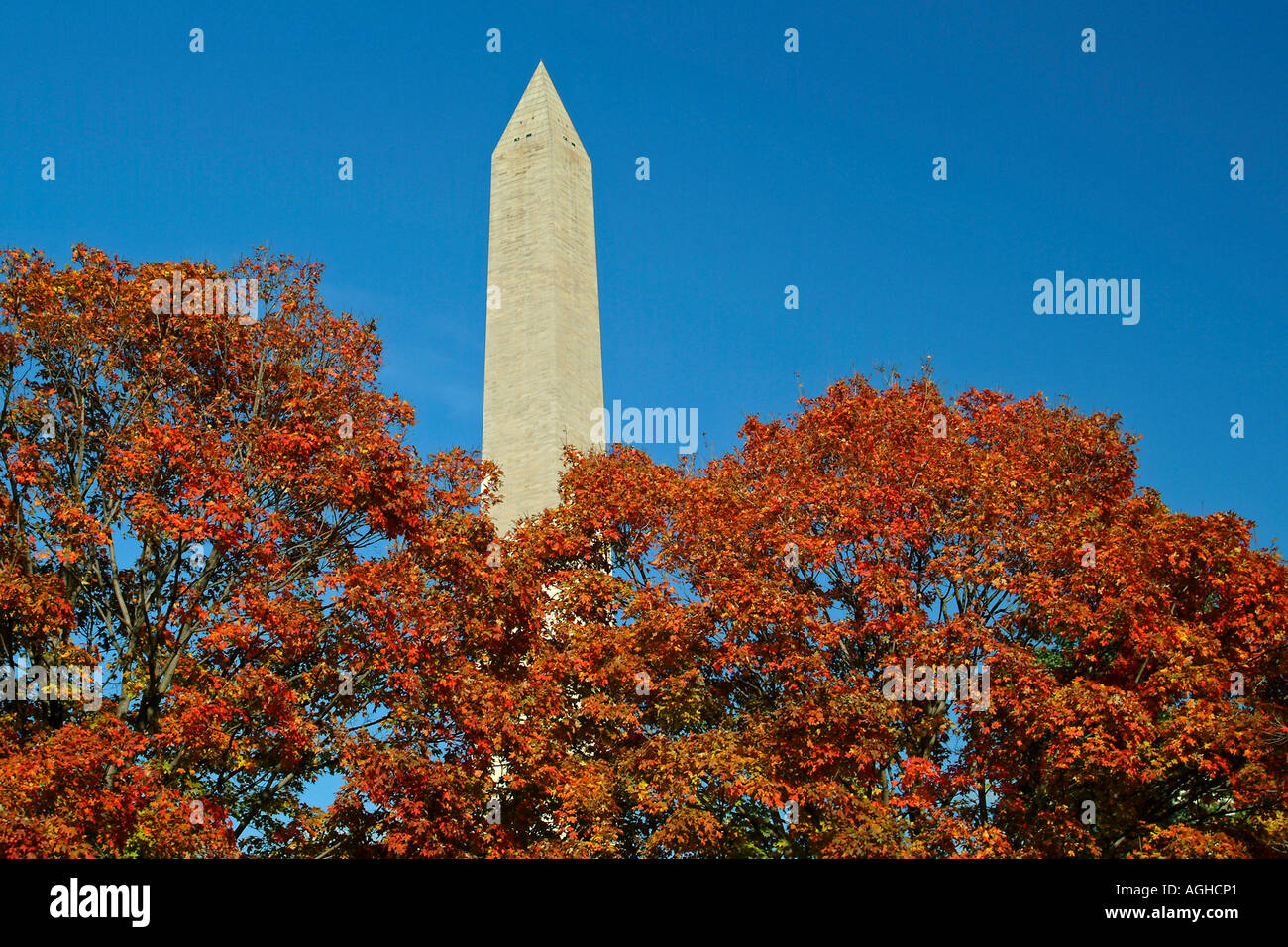 Washington monument and fall leaves Washington D C Stock Photo - Alamy