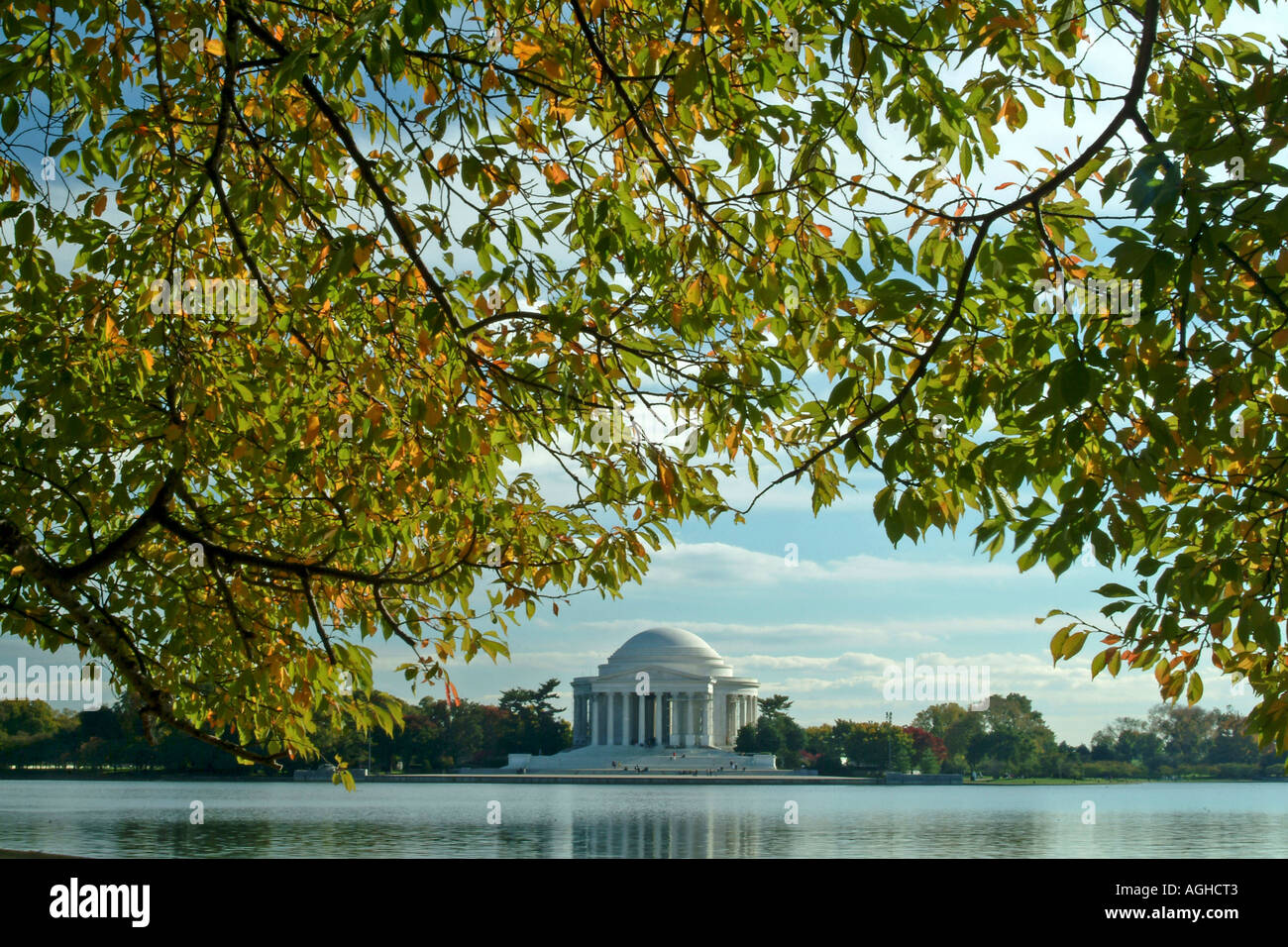 Jefferson monument with fall leaves Washington D C Stock Photo - Alamy