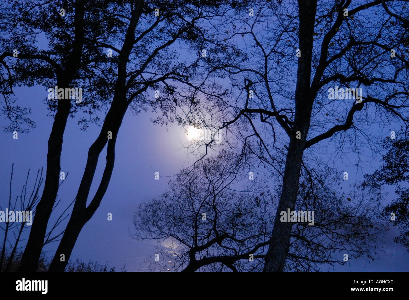 full moon over lake and forest during fog, Sweden Stock Photo - Alamy