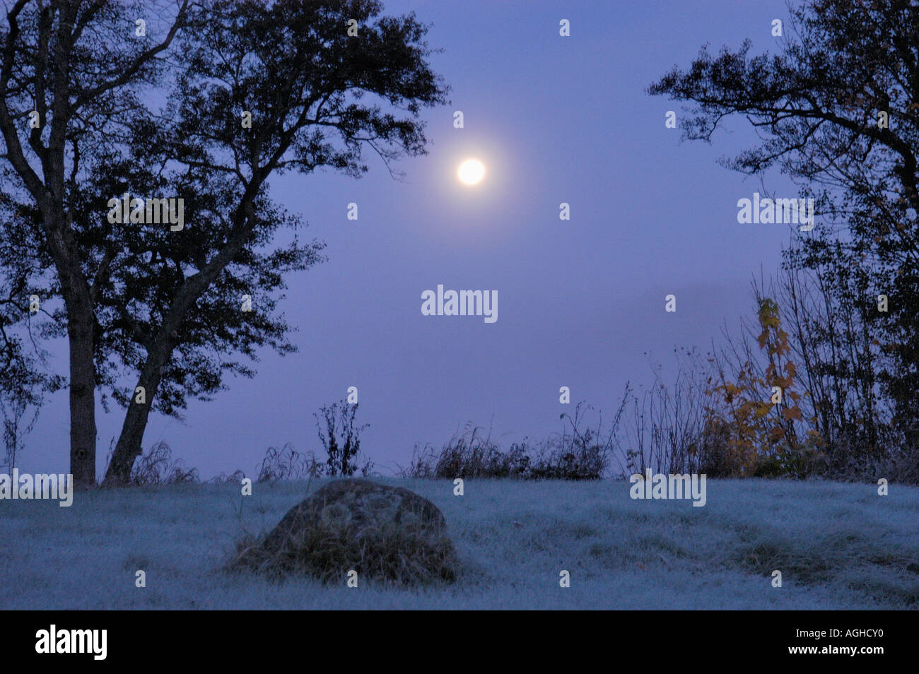 full moon over lake and forest during fog, Sweden Stock Photo - Alamy