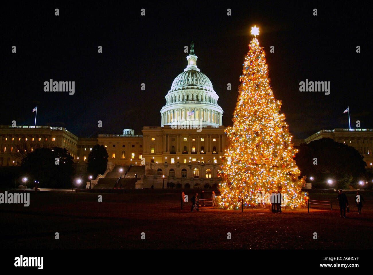 Washington D C United States capital building at Christmas Stock Photo ...