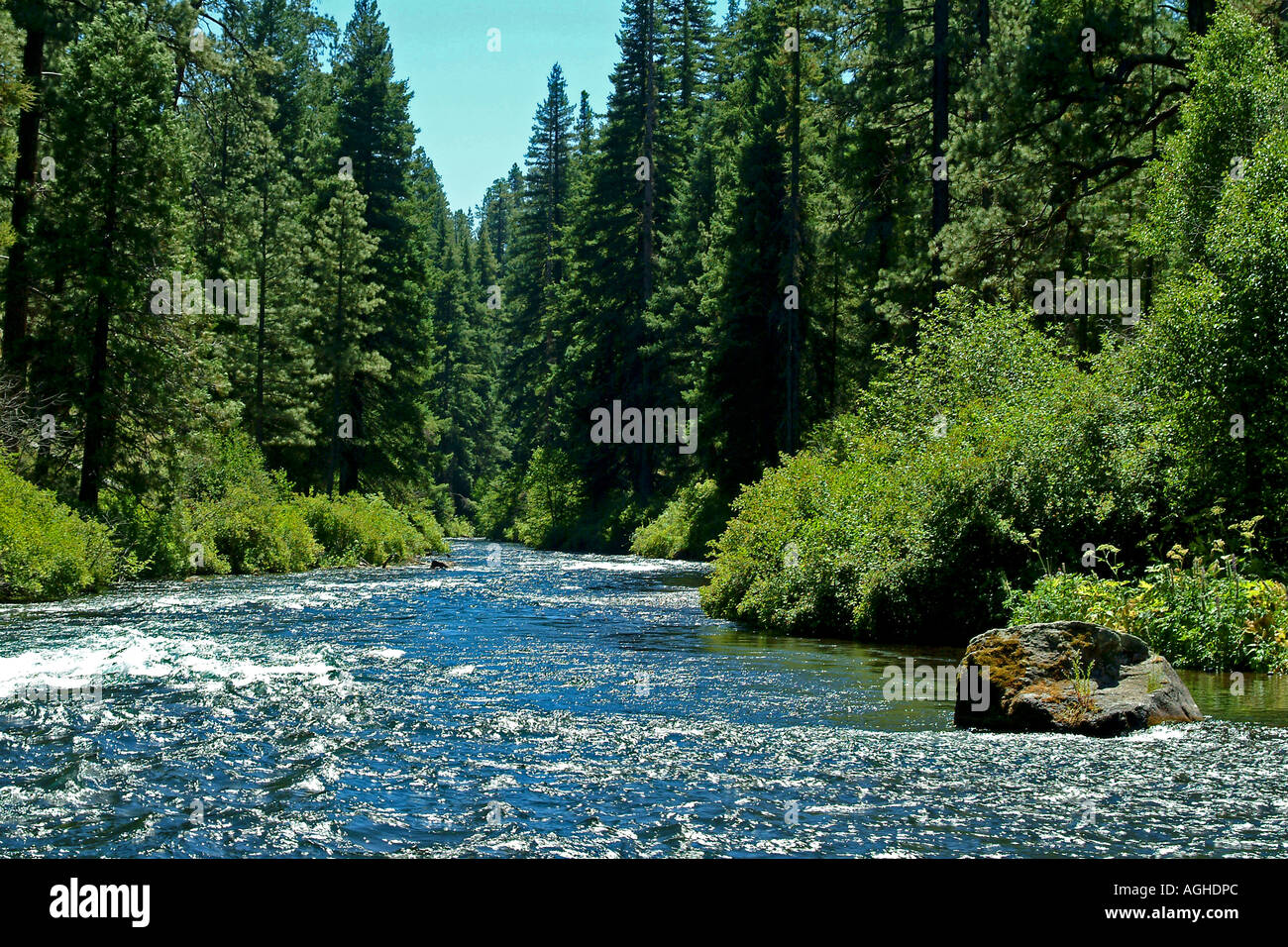 Oregon beautiful Metolius river Stock Photo - Alamy