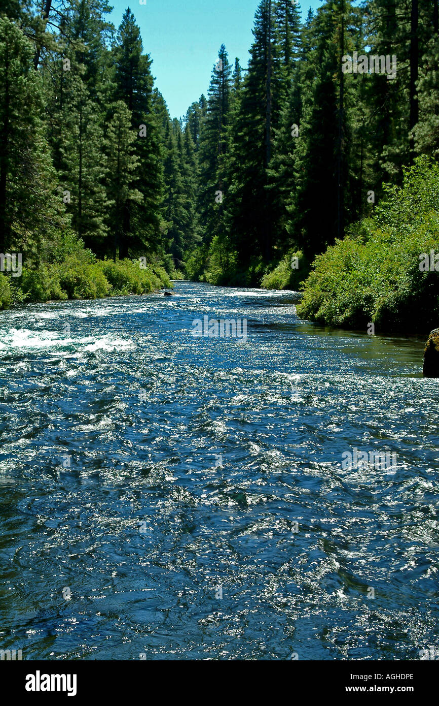 Oregon beautiful Metolius river Stock Photo - Alamy