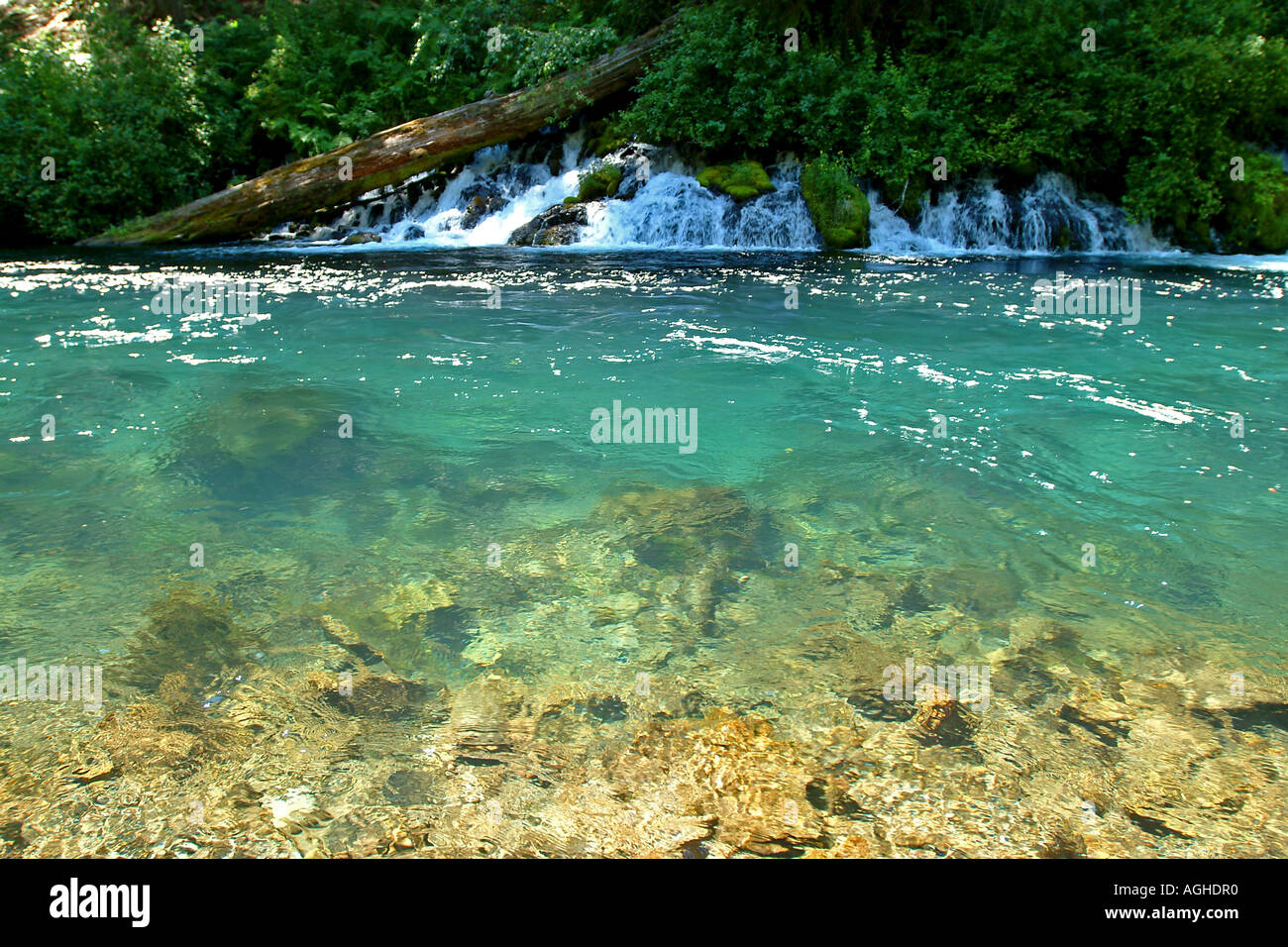 Oregon beautiful Metolius river Stock Photo - Alamy