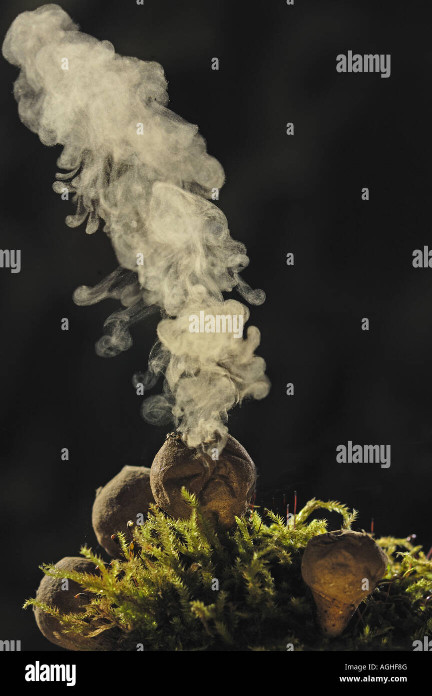 Puffball Clouds High Resolution Stock Photography and Images - Alamy