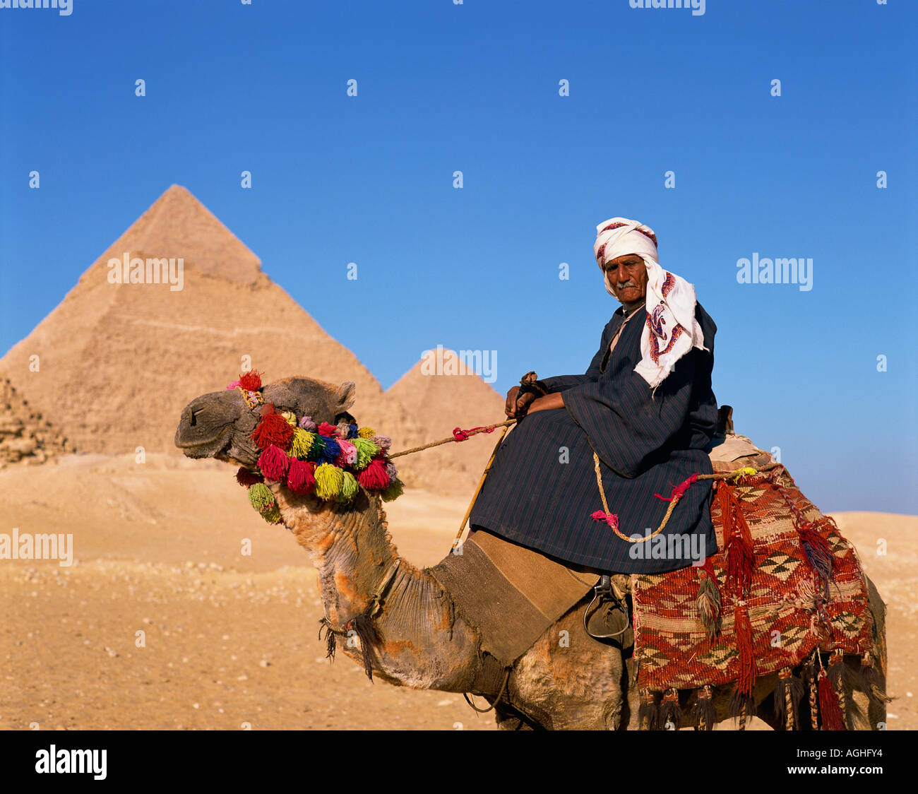 Egypt Cairo Giza Great Pyramids with Camel and Driver Stock Photo - Alamy