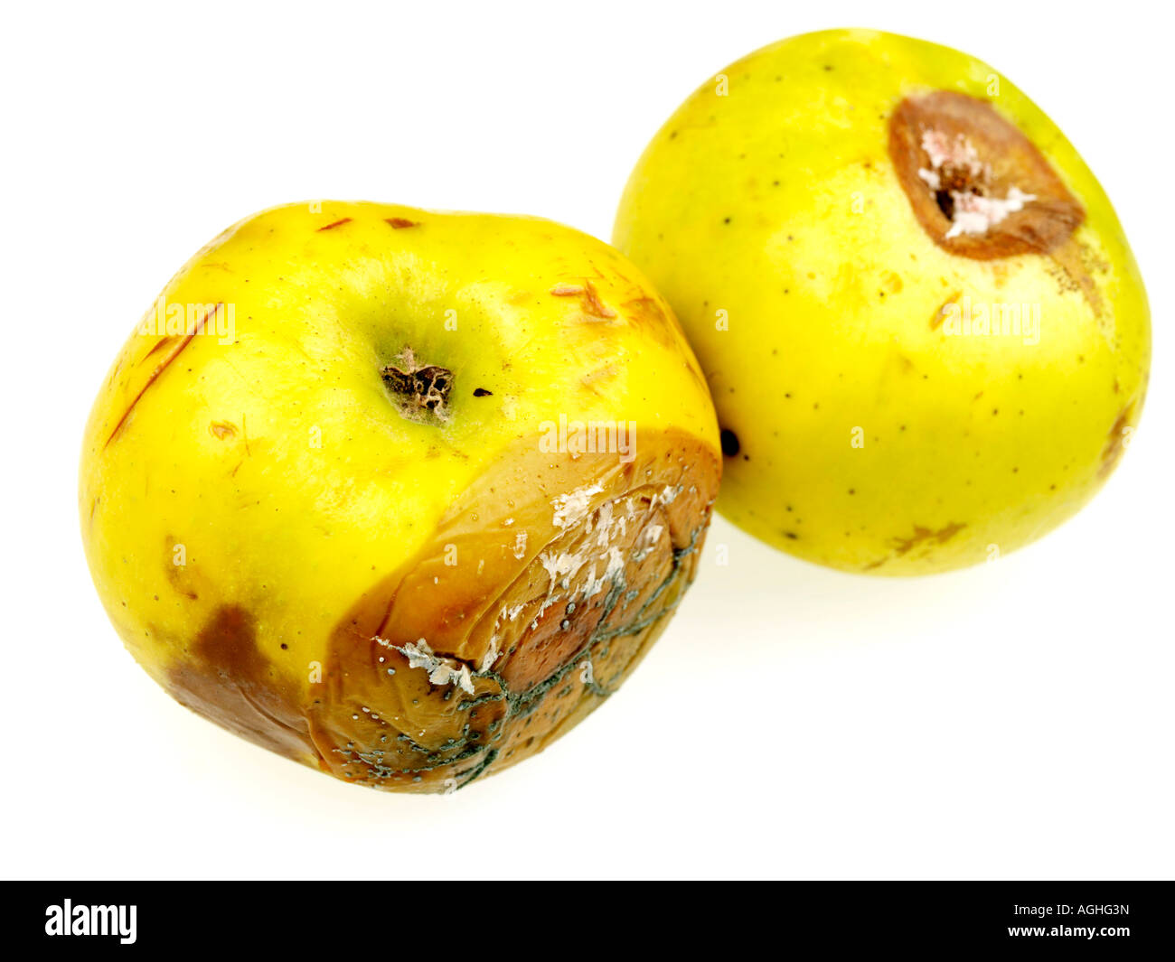 Old apples rotten apple Cut Out Stock Images & Pictures - Alamy