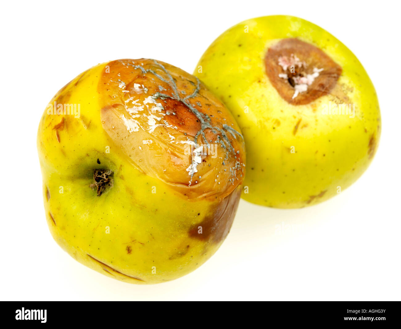 Rotten bramley hi-res stock photography and images - Alamy