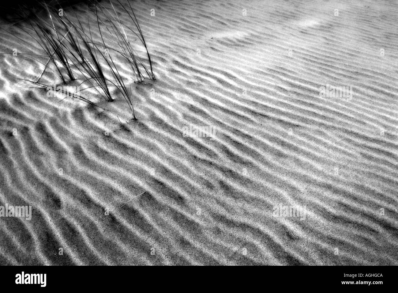 Background lines of sand Black and White Stock Photos & Images - Alamy