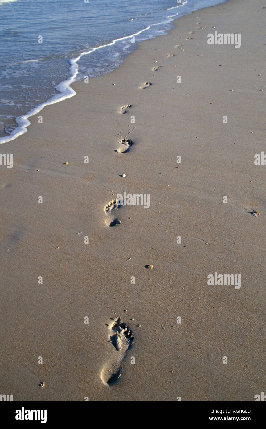 Beach Foot Steps Foot Prints near the surf line line of foot steps ...