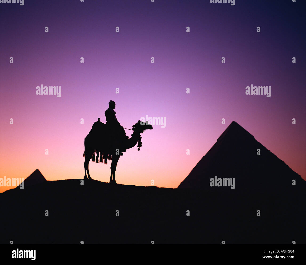 Silhouette camel pyramid sunset giza hi-res stock photography and ...
