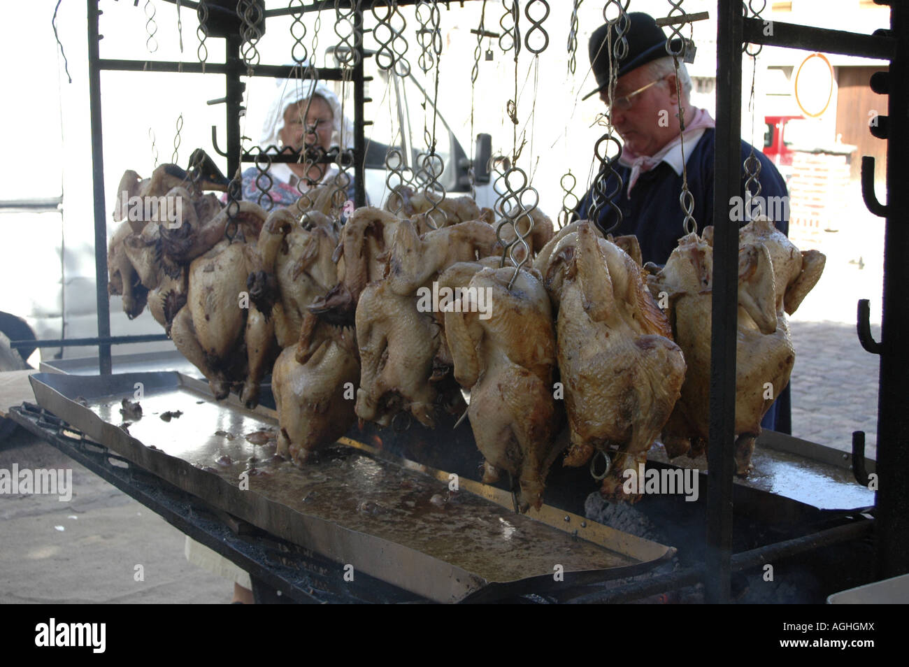 domestic fowl (Gallus gallus f. domestica), broiler on a traditional ...