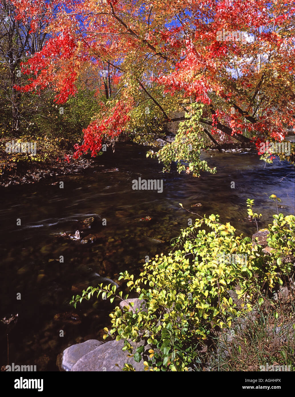 scene of fall color and the river in Hudson Mills Metropark, USA ...