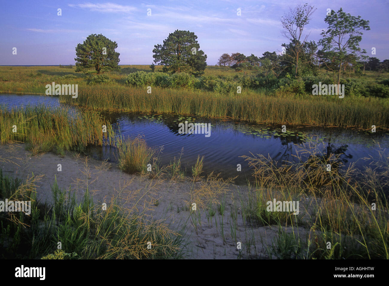 The Dead River and blue sky reflections, USA, Illinois, Lake County ...