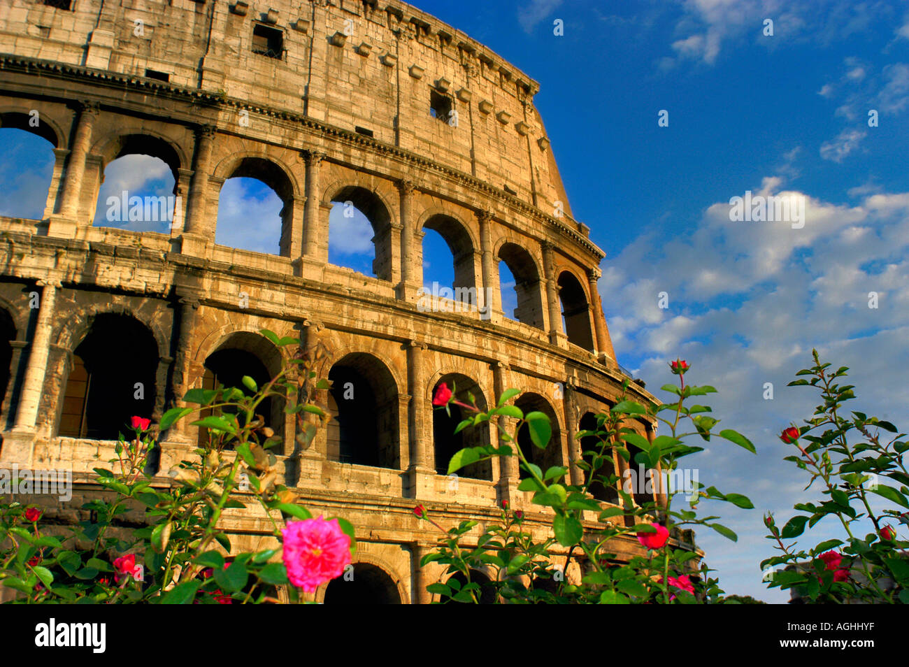 Roman colosseum flowers hi-res stock photography and images - Alamy