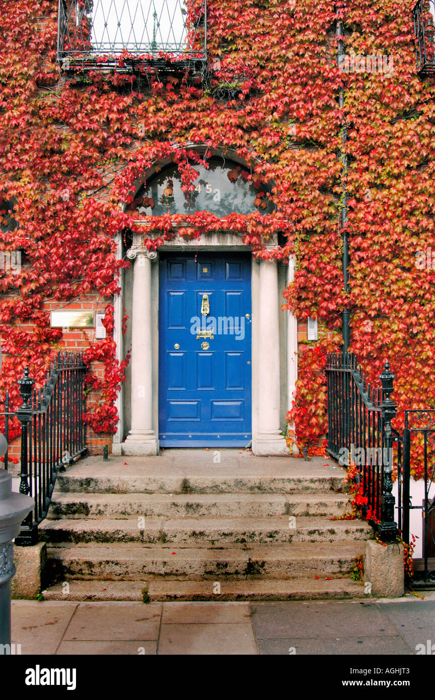 decorative street door/gateway to premises/real estate, Dublin, Ireland ...