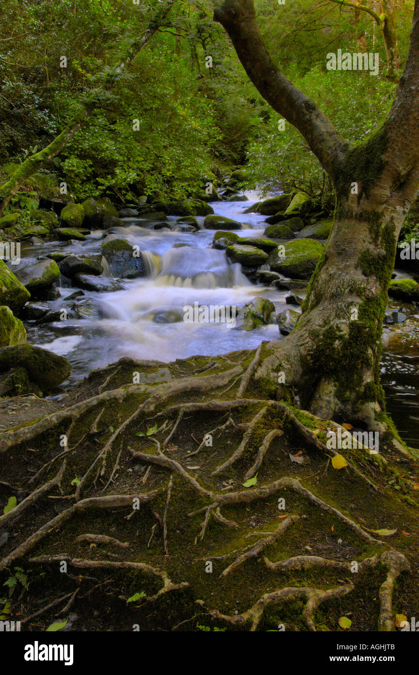 Torc Waterfall, Killarney National Park, Ireland Stock Photo - Alamy