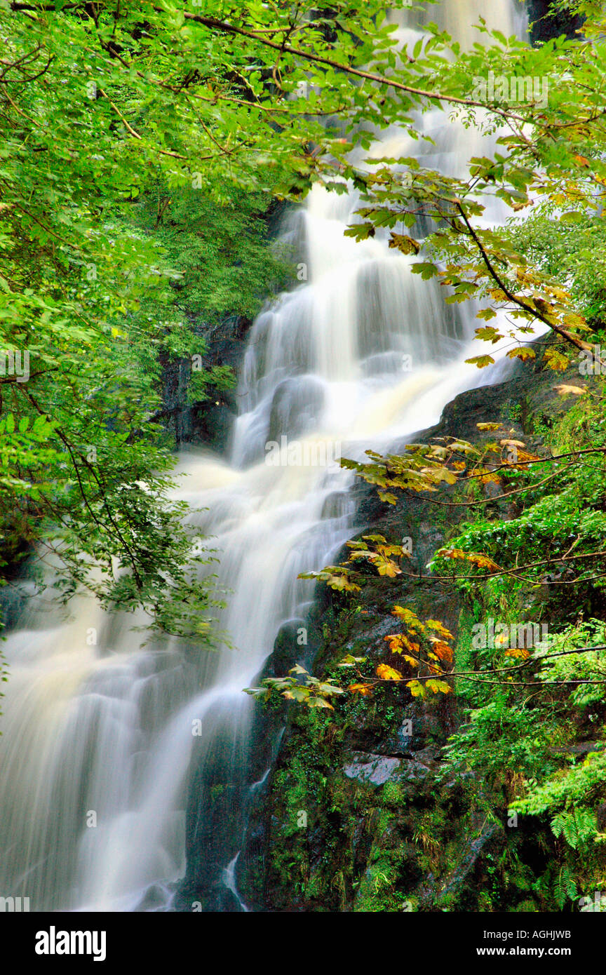 Torc Waterfall, Killarney National Park, Ireland Stock Photo - Alamy